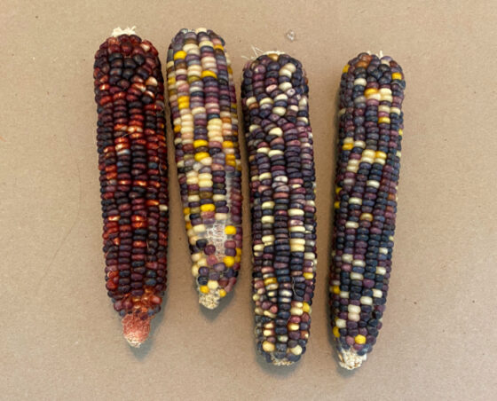 Learn how to make an Elegant Metallic Corn Centerpiece for Fall ...