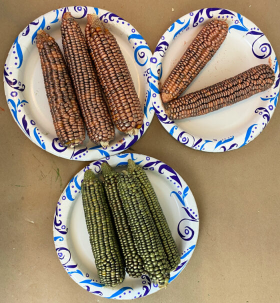Learn how to make an Elegant Metallic Corn Centerpiece for Fall ...