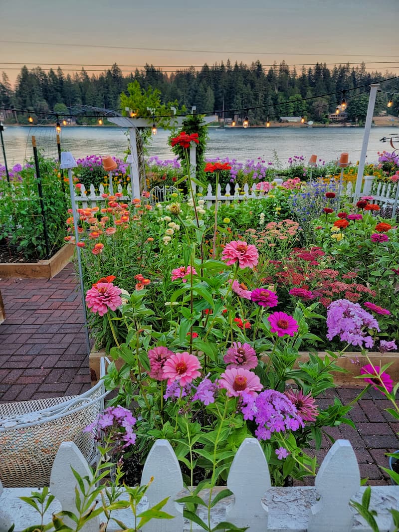 Beautiful Summer Flower Gardens Summer In Wendy's Garden Fine